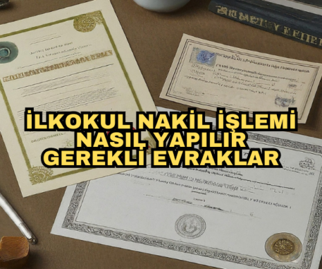 İlkokul Nakil İşlemi Nasıl Yapılır Gerekli Evraklar - Belge Topla